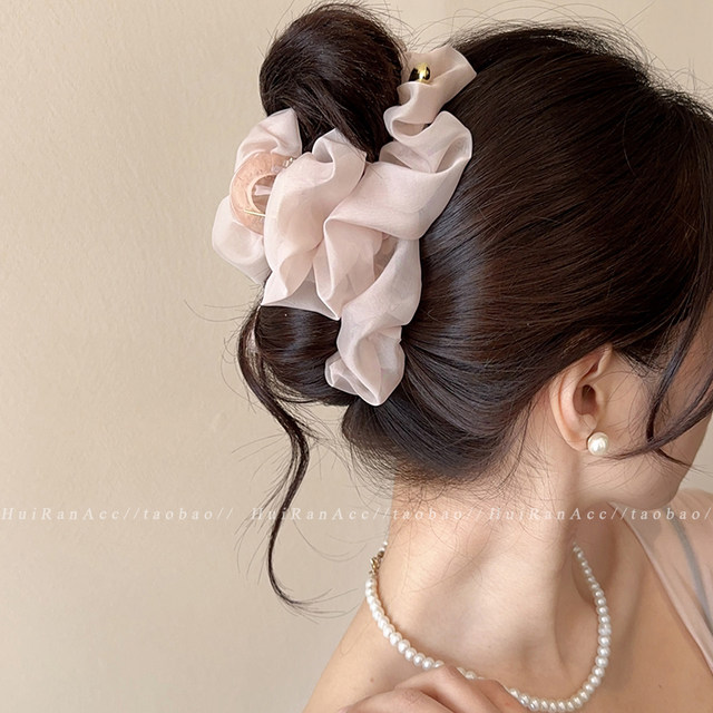 Mesh pleated scratch clip for women 2025 new plump head back hair clip ...