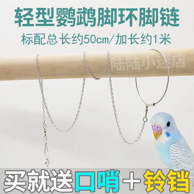 Parrot anklet anklet stainless steel bird chain tiger skin starling ...