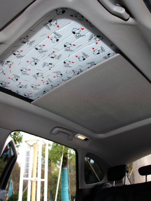 Renault Correo Correga Wema EX5 special cartoon without suction cup ...