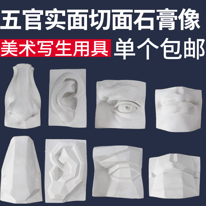 Real Face Cut Plaster Statue of Facial Features - Nose, Eyes, Mouth ...
