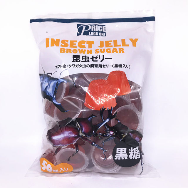 Beetle insect jelly unicorn fairy stag beetle adult stag beetle ant ...
