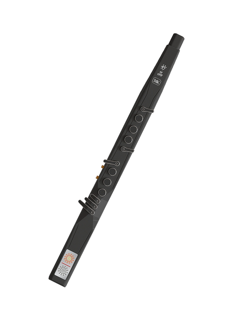 Miaopin MK Electronic Blind Pipe instrument Official flagship store ...