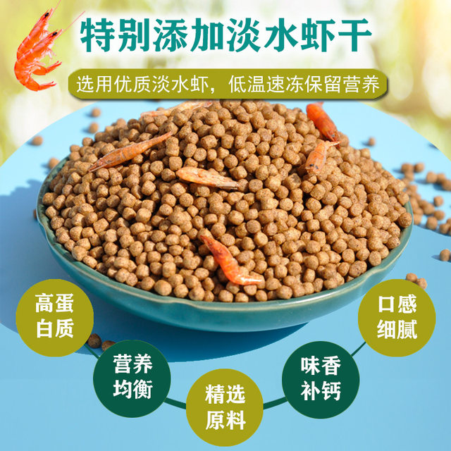 Dried shrimp turtle food turtle feed general type grass tortoise ...