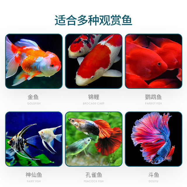 Fish food Goldfish Koi fish feed Small pellet fish grain Ornamental ...