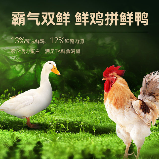 Bile cat food domineering fresh full price cat food without grain raw ...