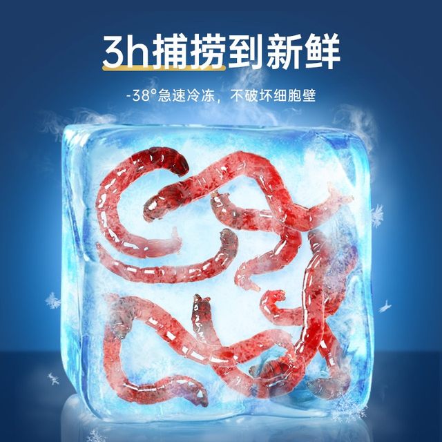 Yee hexagonal dinosaur feed fish food doll fish 蝾螈 蝾螈 蝾螈 栖 栖 栖 栖 栖