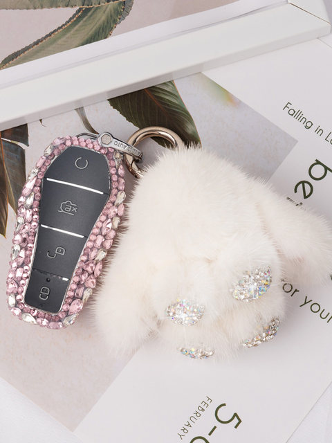 2023 BYD seagull key set Qin Plus