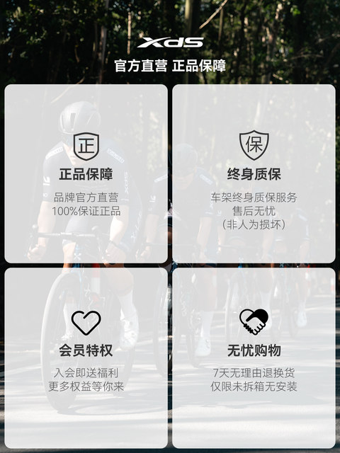 xds Xidesheng 24 AD500 electric road vehicle carbon fiber front fork 24 speed oil brake electric ...