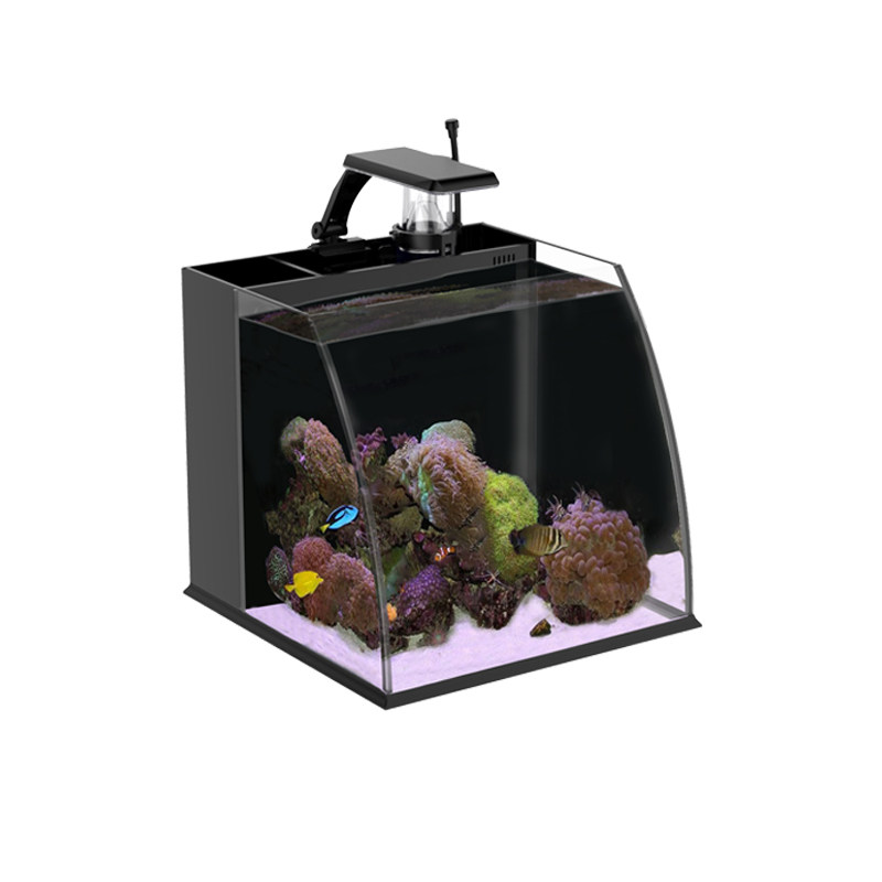 Seawater Fish Tank Aquarium Set | Curved Tank with Coral, Clownfish ...