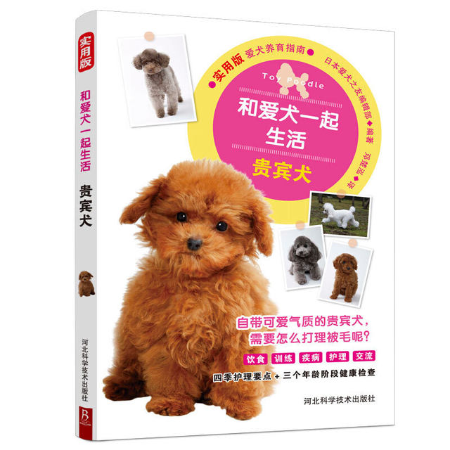 Founder Poodle and Dogs Life with Dog of Dog Feding Tips Manual Manual ...