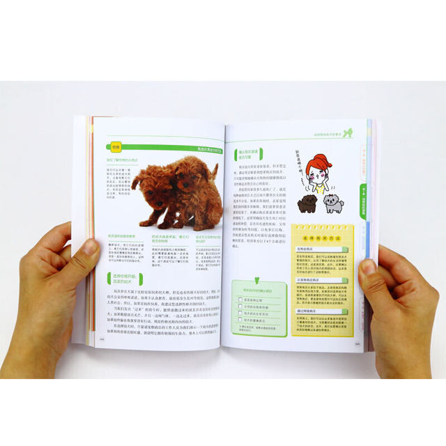 Founder Poodle and Dogs Life with Dog of Dog Feding Tips Manual Manual ...
