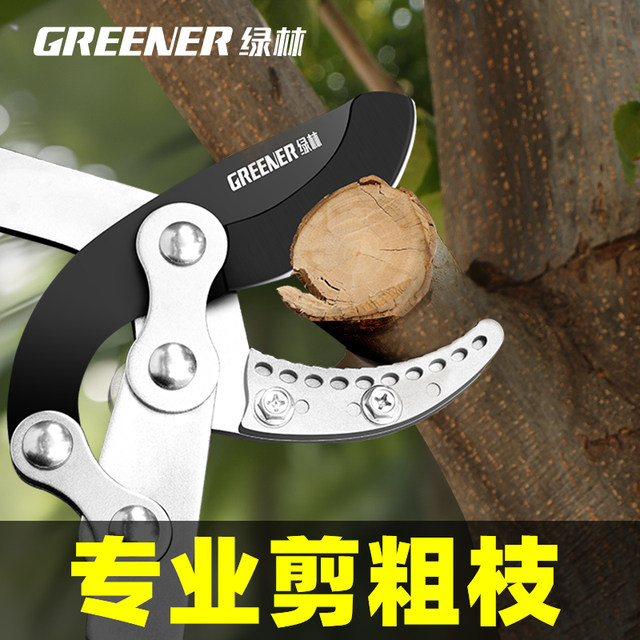 Green forest thick branch shears pruning branch scissors fruit tree ...