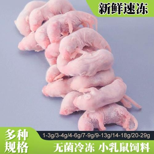 Frozen rats, live rats, frozen small white breast rats, snake seedlings ...