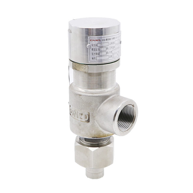 A21W-16P Stainless Steel Spring Micro-Plug-Enter Thread Safety Valve DN10 15 20 25 32 40 50