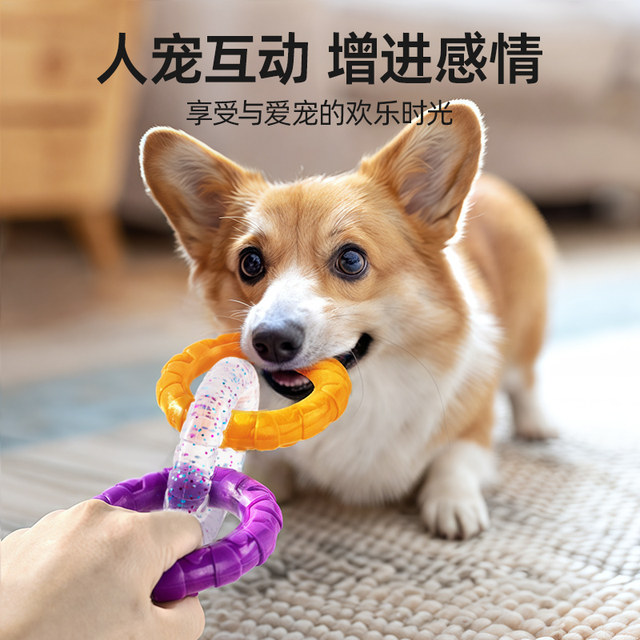 Indestructible dog pull-tab toy, teething tug-of-war pull toy, puppy ...