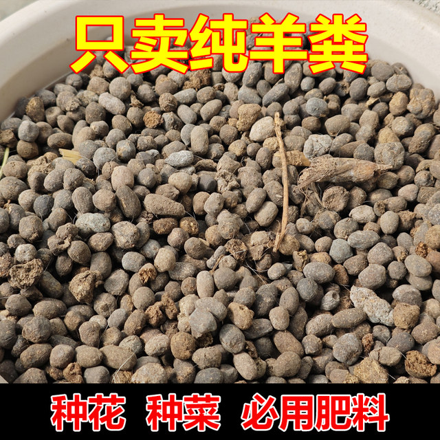 Sheep dung fermented organic fertilizer natural breeds, fruits ...