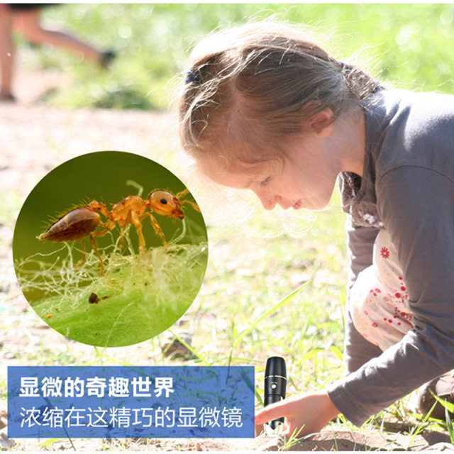 Mobile phone digital microscope WIFI connection tablet portable high ...