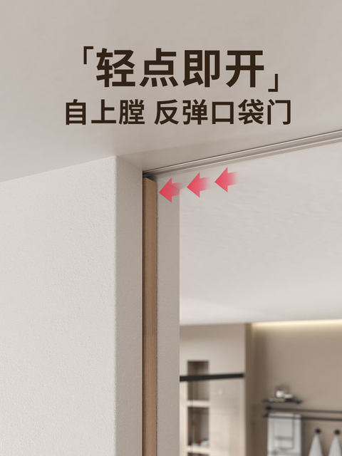 German Hafele Push-Pull Hidden Pocket Door Slide Rail with Two-Way Damping