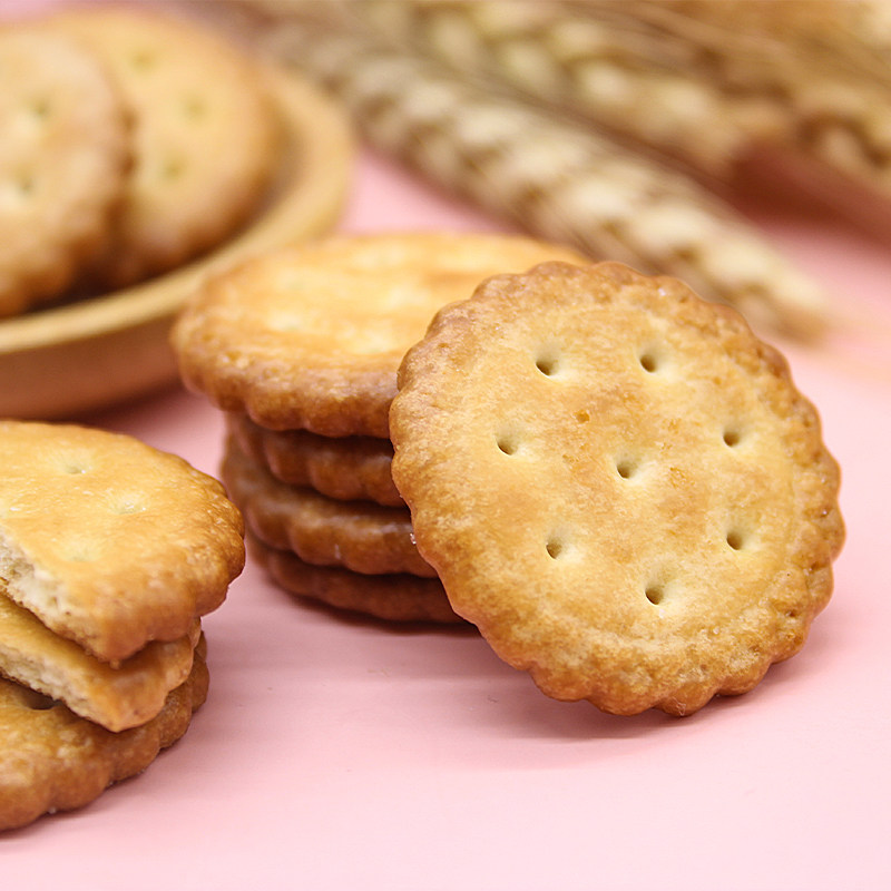 Biscuits au sel de mer japonais Fujino Ichimura - Biscuits ronds aux ...