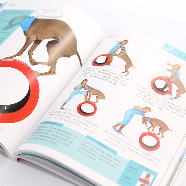 A dog game is enough for dog raising books to train dog pets to train ...