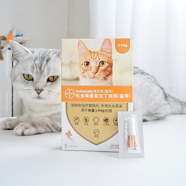 Bayer Eloors's body internal body is deworming 0.4ml into a kittens and ...