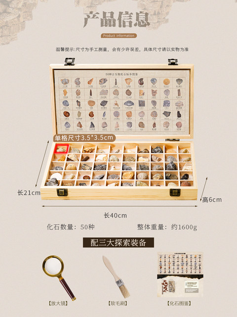 Ancient gifts of 50 kinds of natural mineral fossil specimens sets of ...