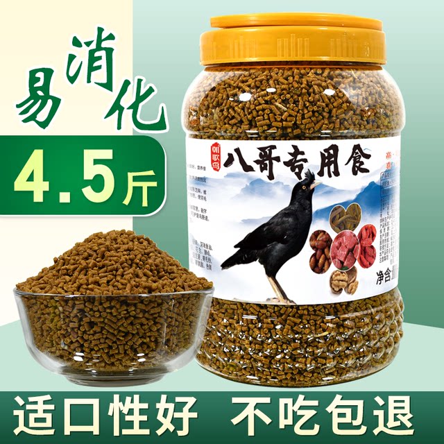 Geye Feed, Brother Bird Eater, Bird Fed, Brother Absal, Bird Food Feed ...