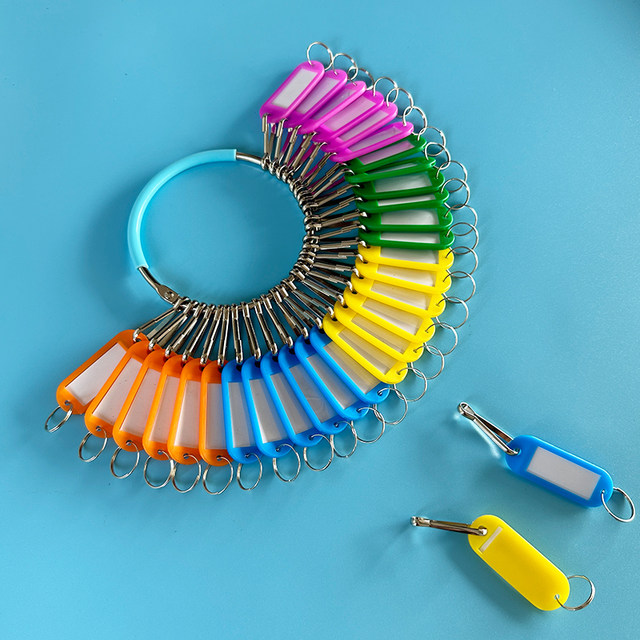 Landlord's key chain key disc disc keychain large ring storage artifact ...