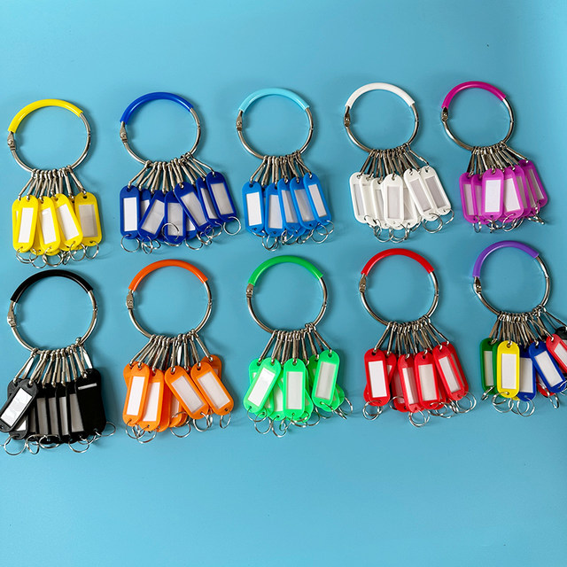 Landlord's key chain key disc disc keychain large ring storage artifact ...