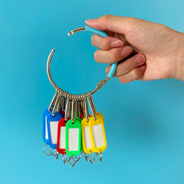 Landlord's key chain key disc disc keychain large ring storage artifact ...