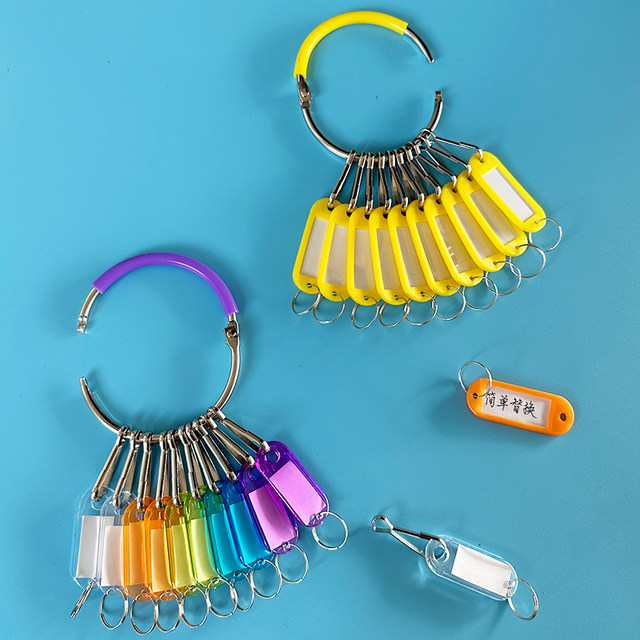 Landlord's key chain key disc disc keychain large ring storage artifact ...