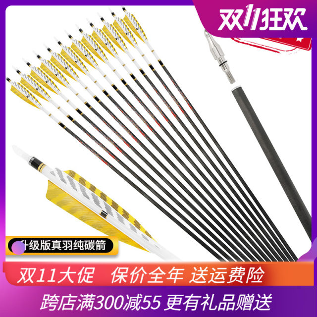 Arrows, pure carbon arrows, real feather carbon arrows, traditional ...