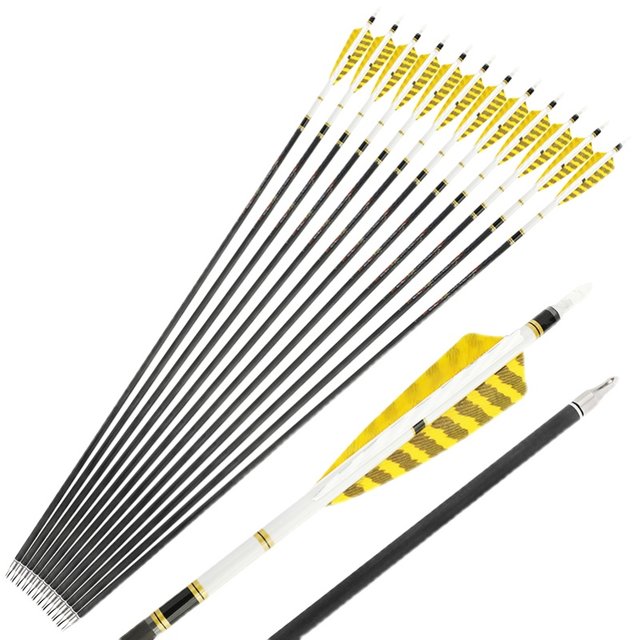 Arrows, pure carbon arrows, real feather carbon arrows, traditional ...