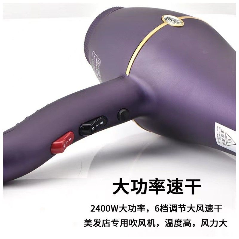 Hua Jian 8868 negative ion hair dryer anti -static electric high ...