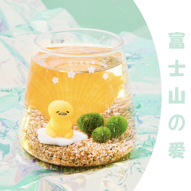 Japanese genuine Marimo seaweed ball algae, Mount Fuji Mountain Love ...
