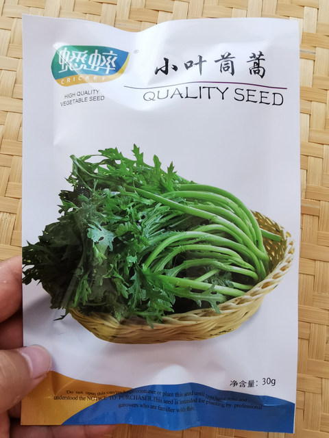 Small-leaf chrysanthemum chrysanthemum seeds full farm chrysanthemum ...