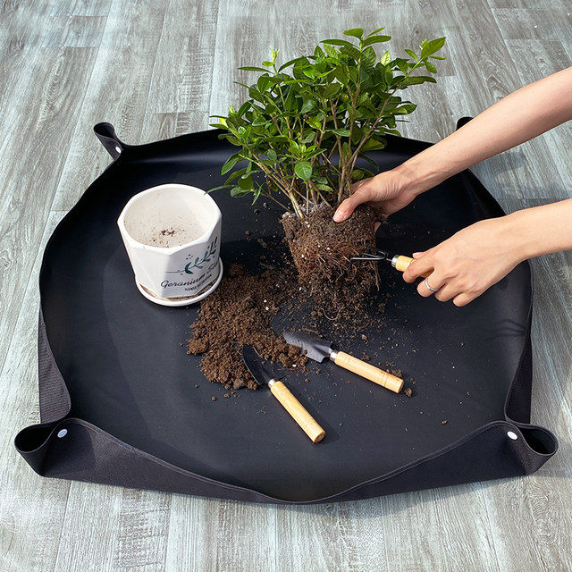 Horticultural operation floor mats, fleshy green plants, flip pots to ...