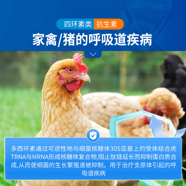 2Jin [Jin is equal to 0.5kg] Doxycycline Veterinary Soluble Powder ...