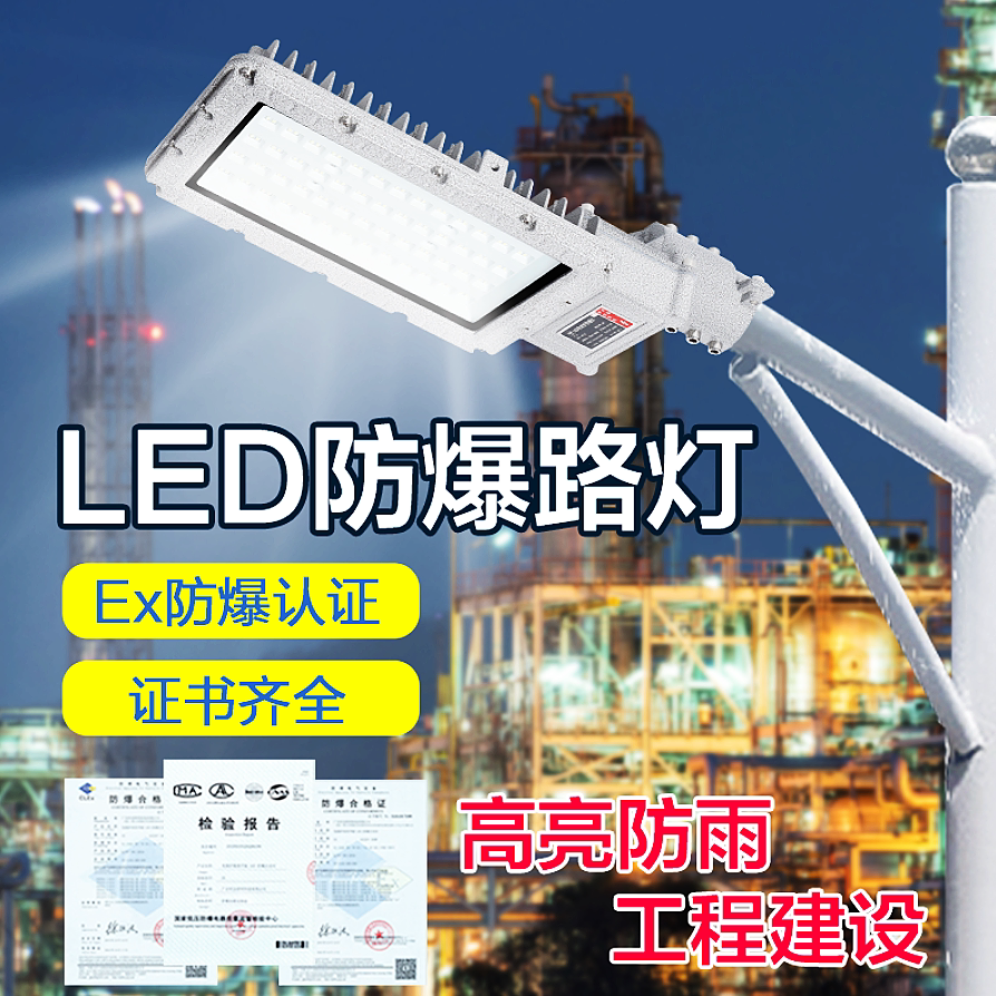 LED Explosion-Proof Street Lamp Head 100W/150W for Gas Station ...