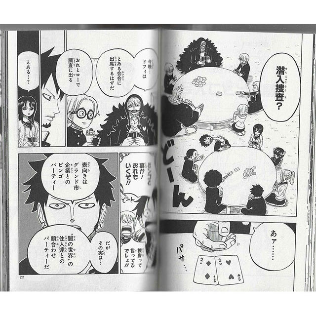 Spot One Piece Academy 9 Japanese comics One Piece Gaiden ONE PIECE ...