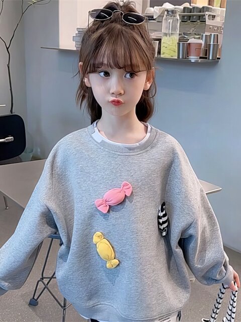 2024 Gray long -sleeved clothes new little girl spring and autumn girl ...