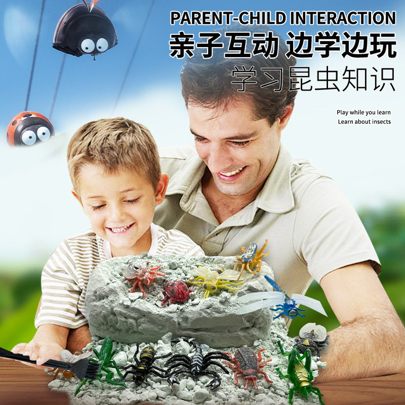 Insect Story Children's Treasure Archeology - 12 Kinds of Insects ...
