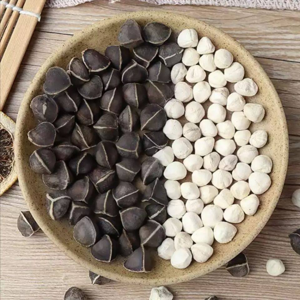 Moringa Seeds 1 Catties Package - Premium Wild Bulk Moringa New Seed ...