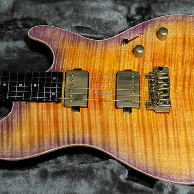 Sugi Guitars DS496 Siren 24 SS electric guitar