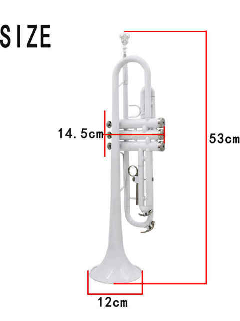 Slade Red trumpet B -tone Bronze Tube's exquisite high -value white ...