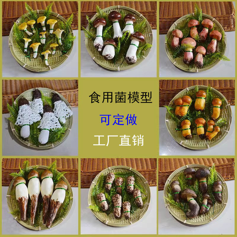 Simulation Edible Fungus Model for Educational Purposes