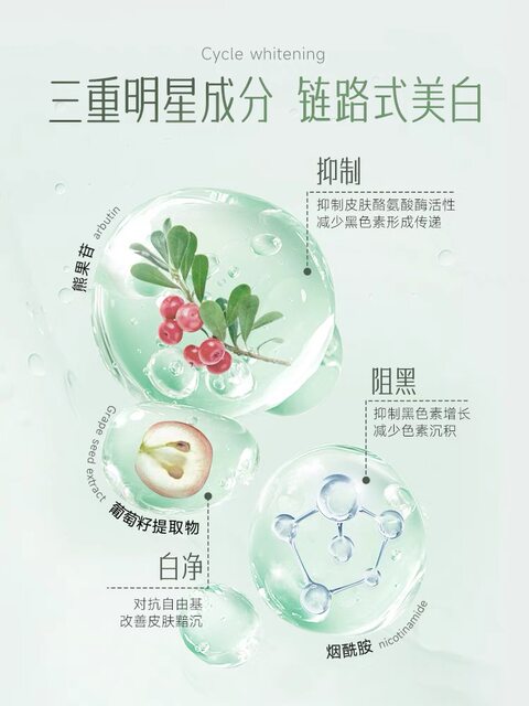 Anan Jin Pure Olive Oil Whitening Lotion Hydrating Facial Cosmetics ...