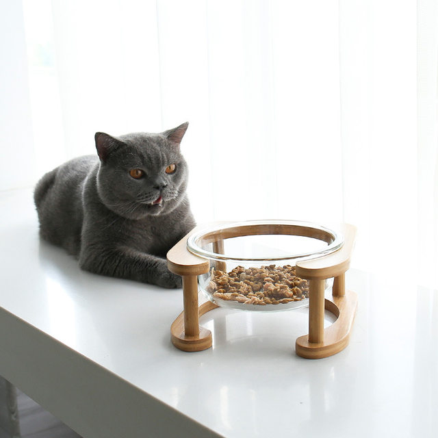 Glass cat bowl with bowl rack cat food bowl cat food bowl dog pot ...