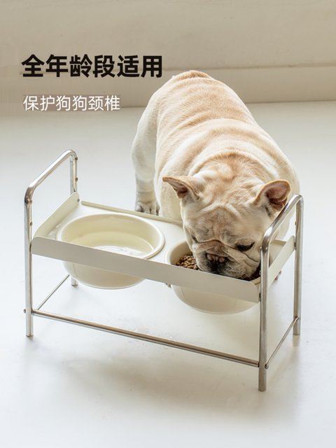 Ceramic tall dog bowl double bowl to protect the cervical spine and not ...