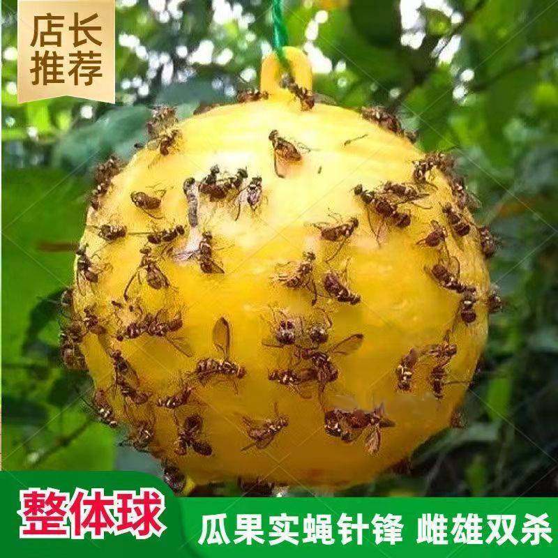 Sticky Insect Ball with Fruit Fly Lure - Double-Sided Yellow Board ...